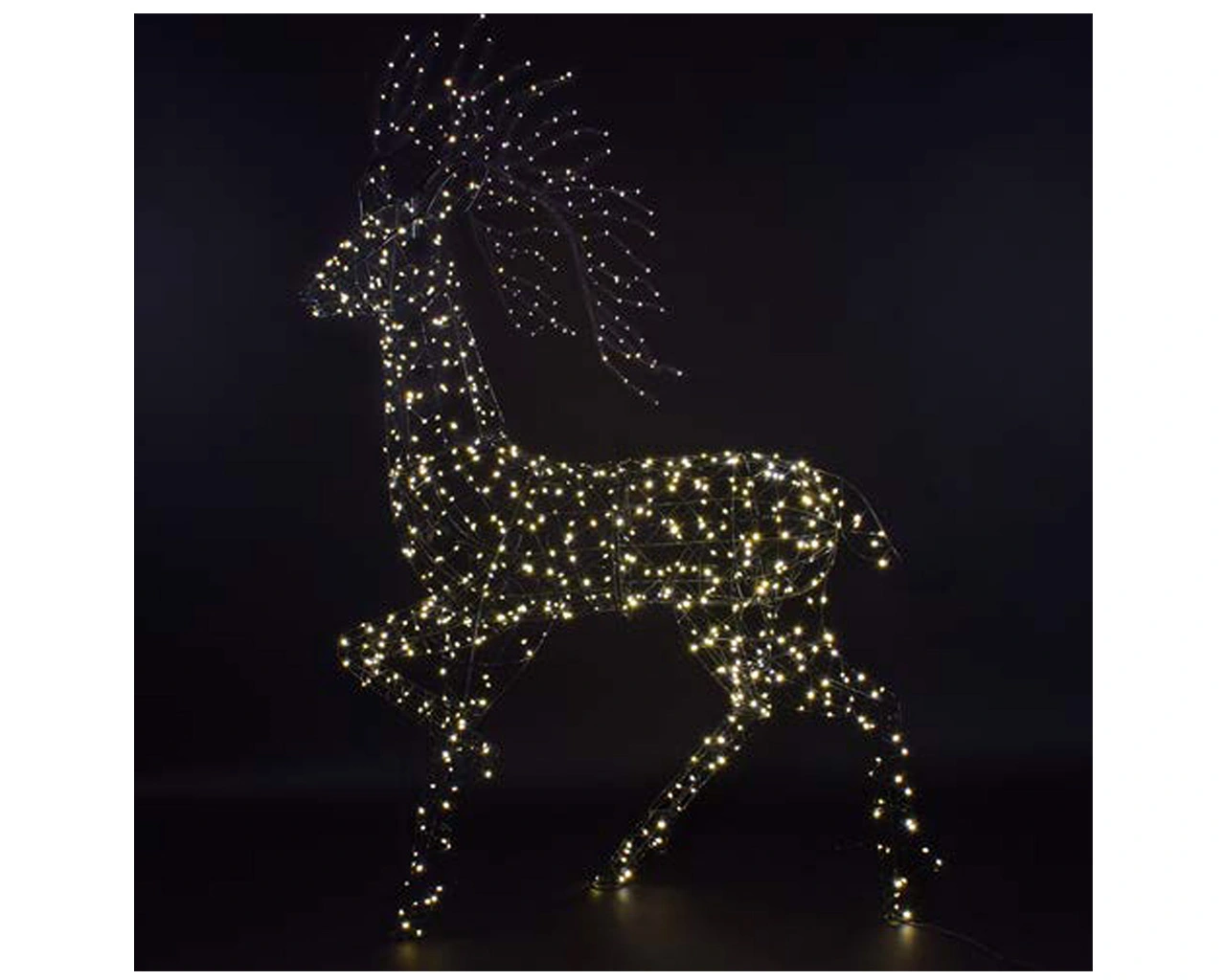 2M GREY STAG WITH BRANCH ANTLERS - Mains of Drums