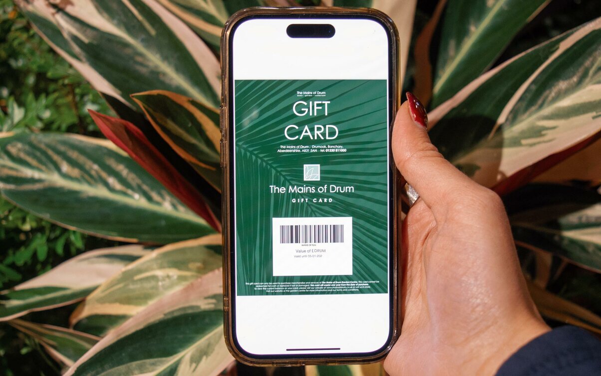 Digital Gift Vouchers - Mains of Drums